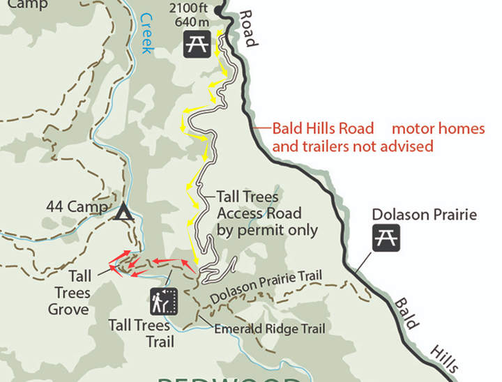 高树步道（Tall Trees Trail）和高树林（Tall Trees Grove） - 知乎