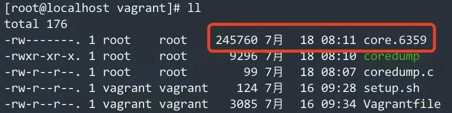 一文读懂 | coredump文件是如何生成的 - 知乎