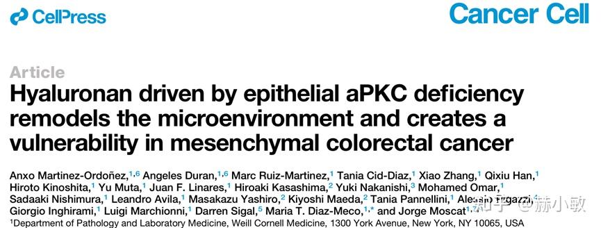 文献分享|Cancer Cell: 上皮细胞aPKCs缺失驱动的透明质酸重塑了肿瘤微环境并促进了间质型结直肠癌恶性表型 - 知乎