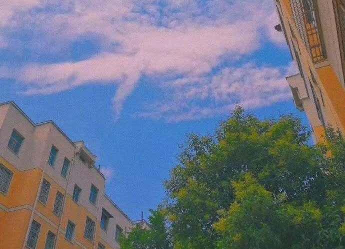 Windows 下python3和python2同时 安装python3和python2 知乎 2899