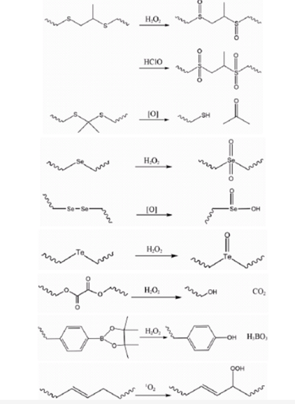 ROS响应性共聚物材料PLGA-Se-Se-PEG-官能团 - 知乎