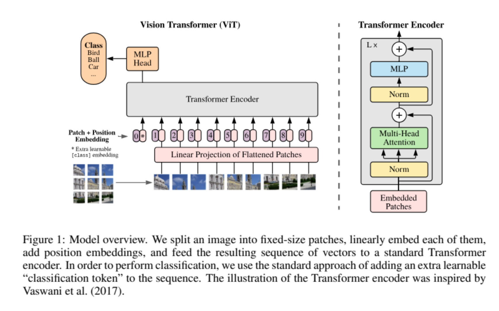 ViT的简单理解 - 知乎