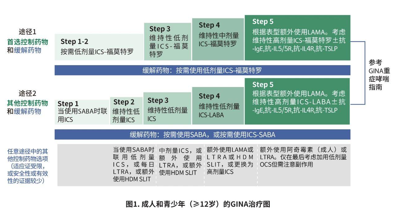 重要图表更新！GINA 2023哮喘防治最新要点速览！ - 知乎