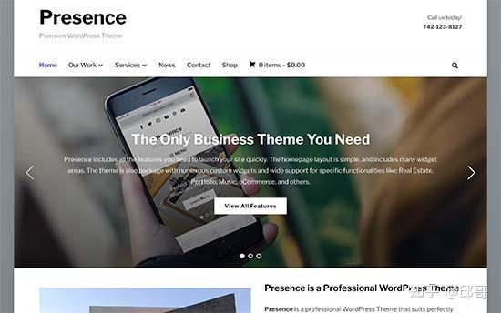 bbPress 的 21 个最佳 WordPress 主题 - 知乎
