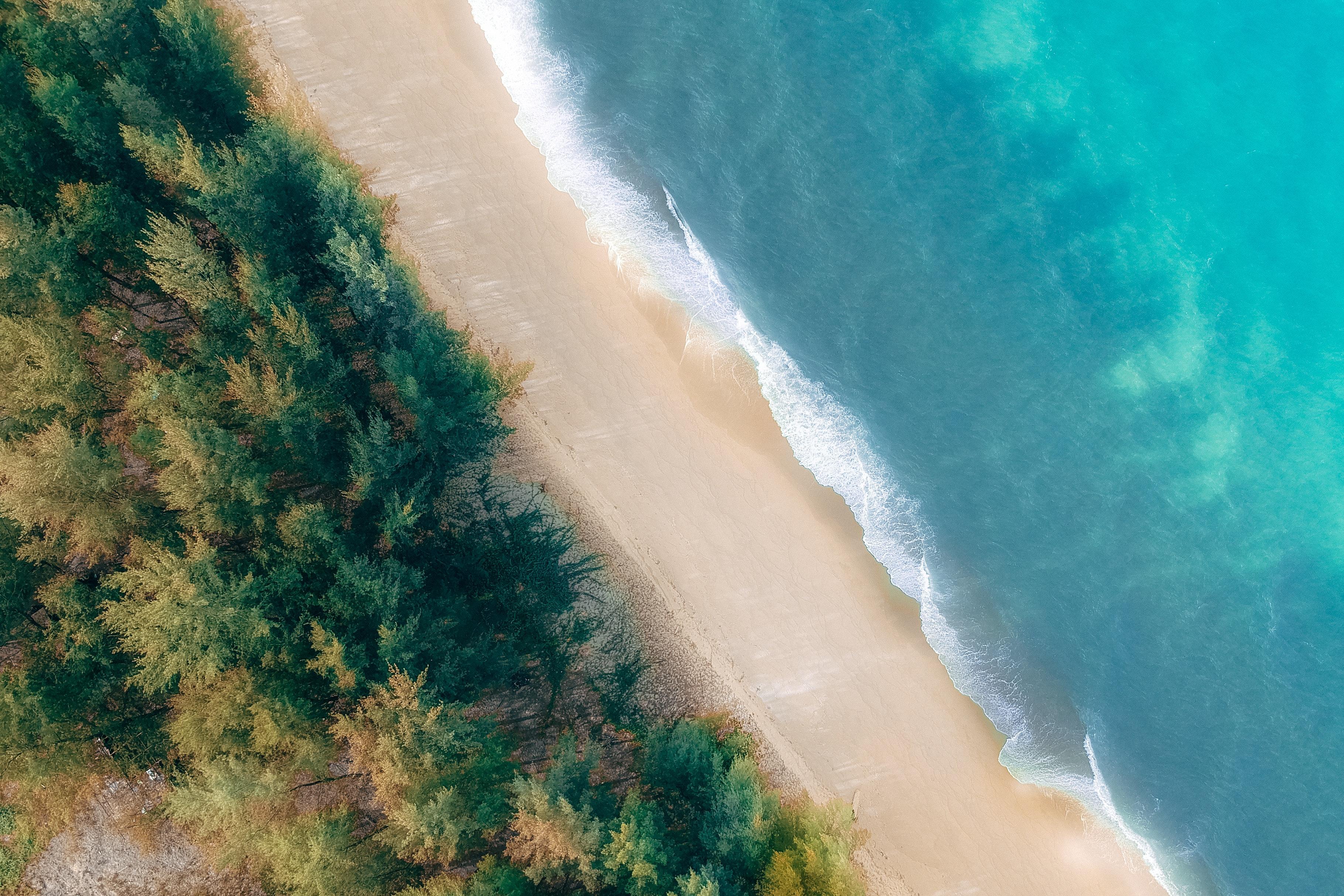 浅析 VO、DTO、DO、PO 的概念、区别和用处！ - 知乎