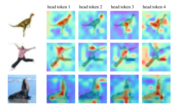 Bridging the Gap Between Vision Transformers and Convolutional Neural Networks on Small Datasets ...