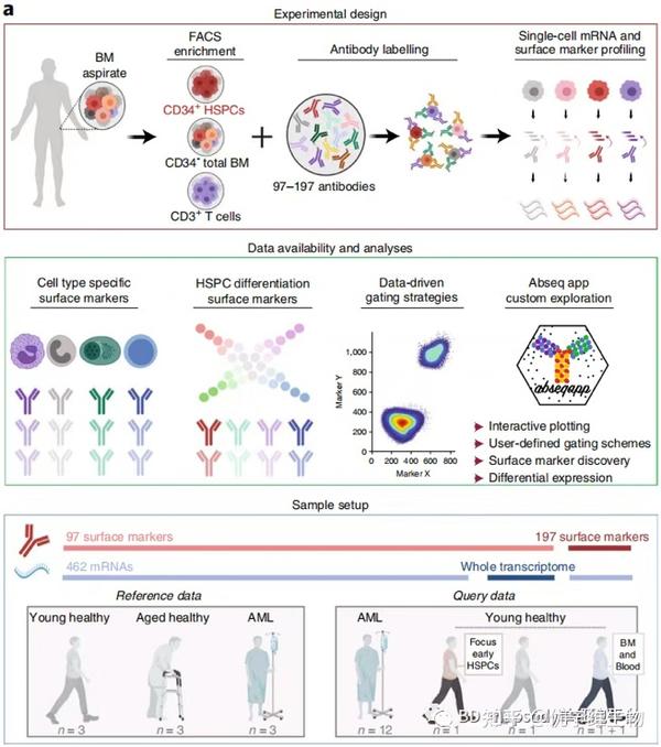 BD Rhapsody AbSeq + WTA + TTA + SMK + FACS Aria II助力白血病研究 - 知乎