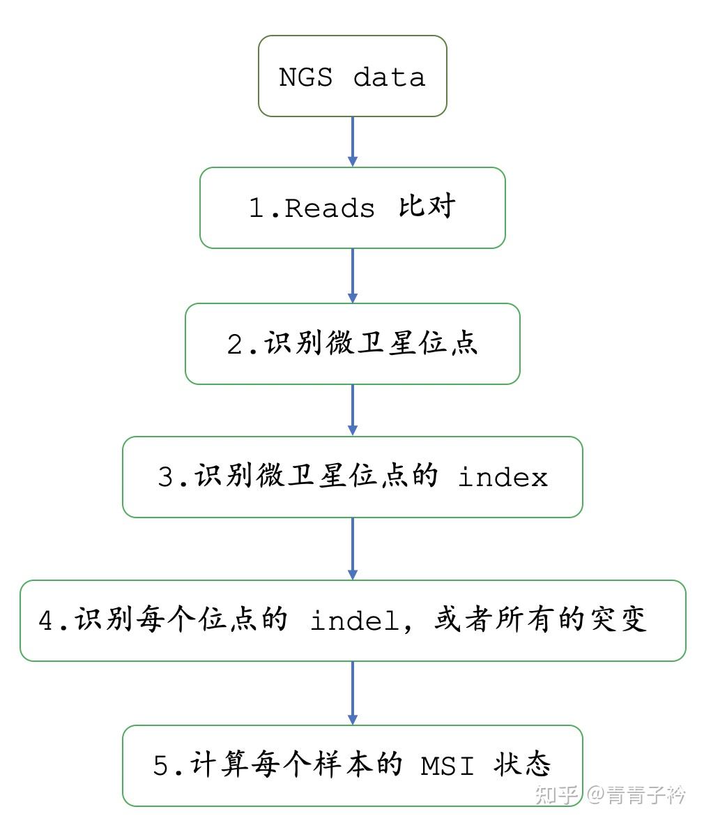 MSI 检测方法概述 - 知乎