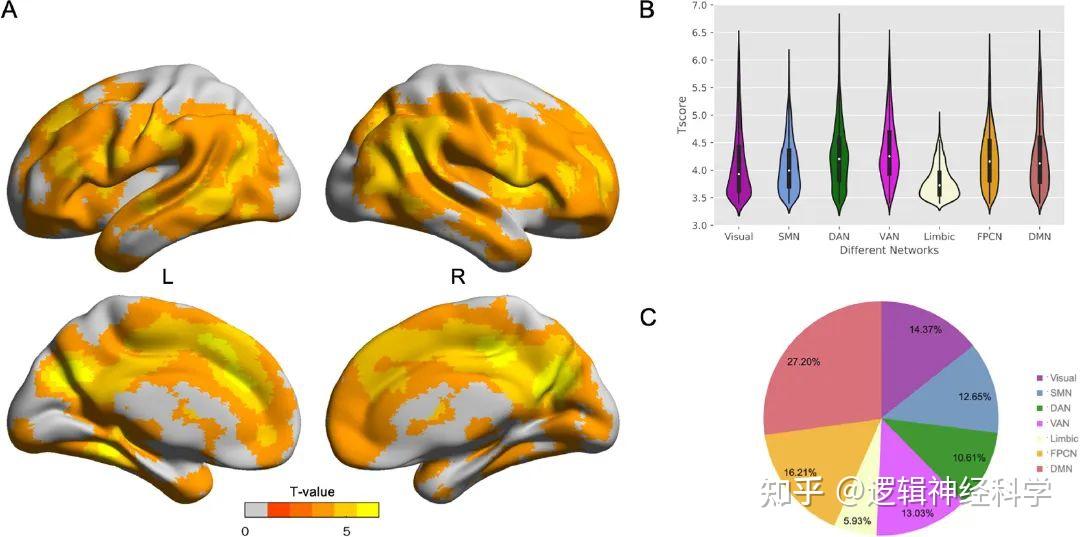 NeuroImage︱中国科学院心理研究所严超赣团队开发Think-Aloud fMRI研究范式并刻画静息态自发思维的大脑表征模式 - 知乎