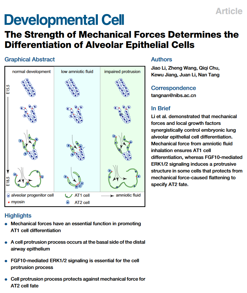 241021 文献泛读 AT2 / AT1 - 知乎