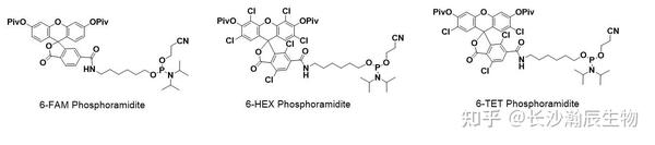 用于寡核苷酸标记的荧光染料 - 知乎