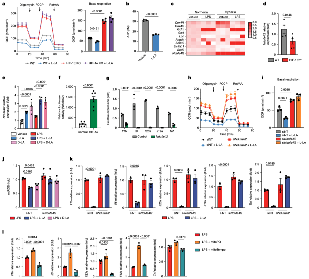 Nature丨乳酸通过稳定树突状细胞中的 HIF-1α 来限制 CNS 自身免疫 - 知乎