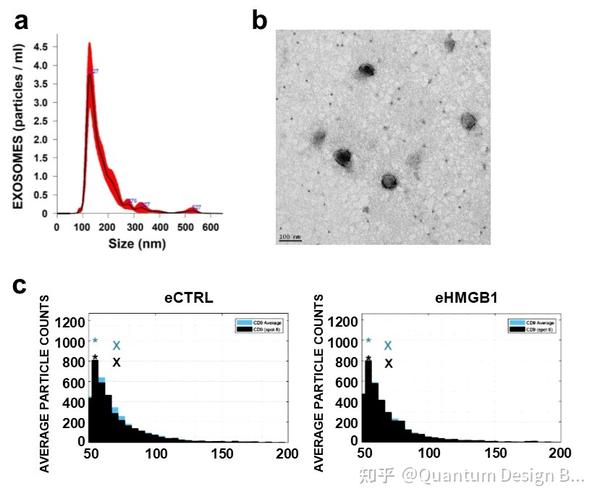 解锁单外泌体水平内容物分析新进展 - 知乎