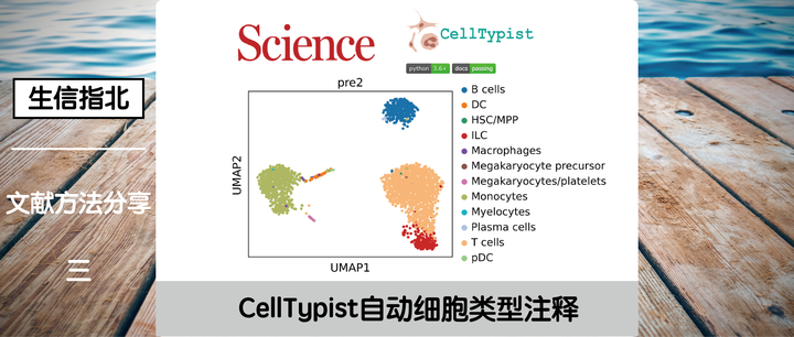 使用CellTypist完成细胞类型的自动注释 - 知乎