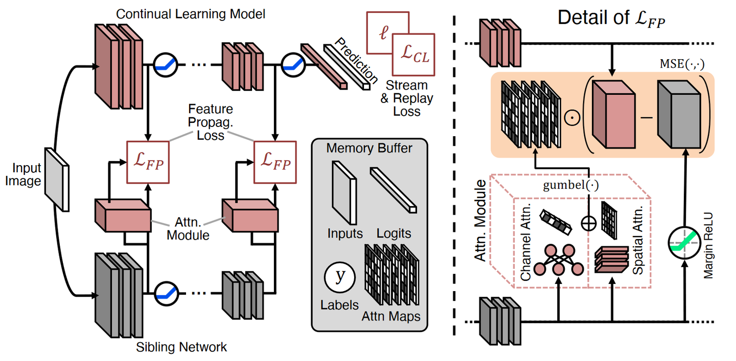 Transfer without Forgetting - 知乎