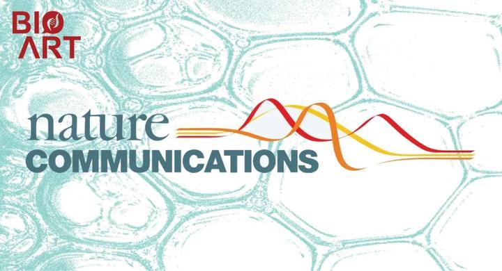 Nature Commun | 江苏大学何华纲团队图位克隆小麦抗白粉病基因Pm68并揭示成对NLR控制模式 - 知乎