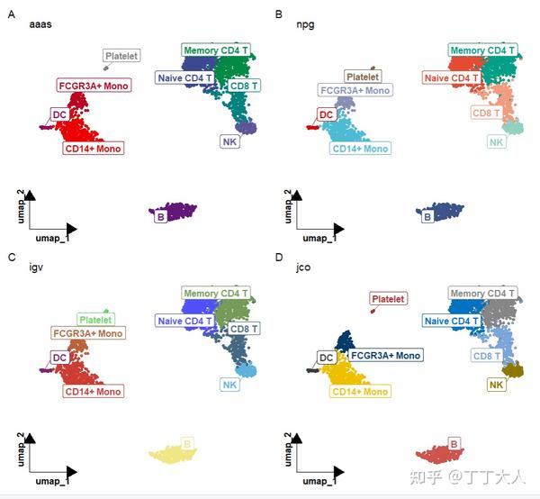 单细胞umap图形美化 - 知乎