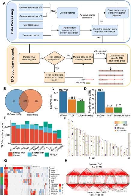 Tcbf:用于pan-3D基因组分析工具 - 知乎