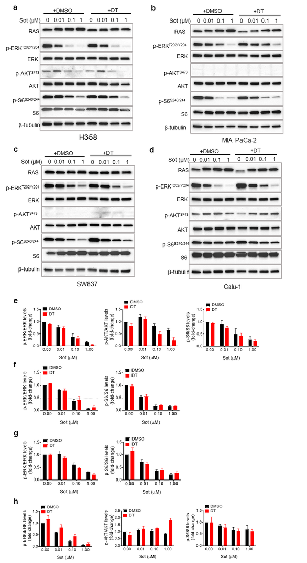BCL-XL PROTAC降解物DT2216在KRASG12C突变的癌症临床前模型中与sotorasib协同作用 - 知乎