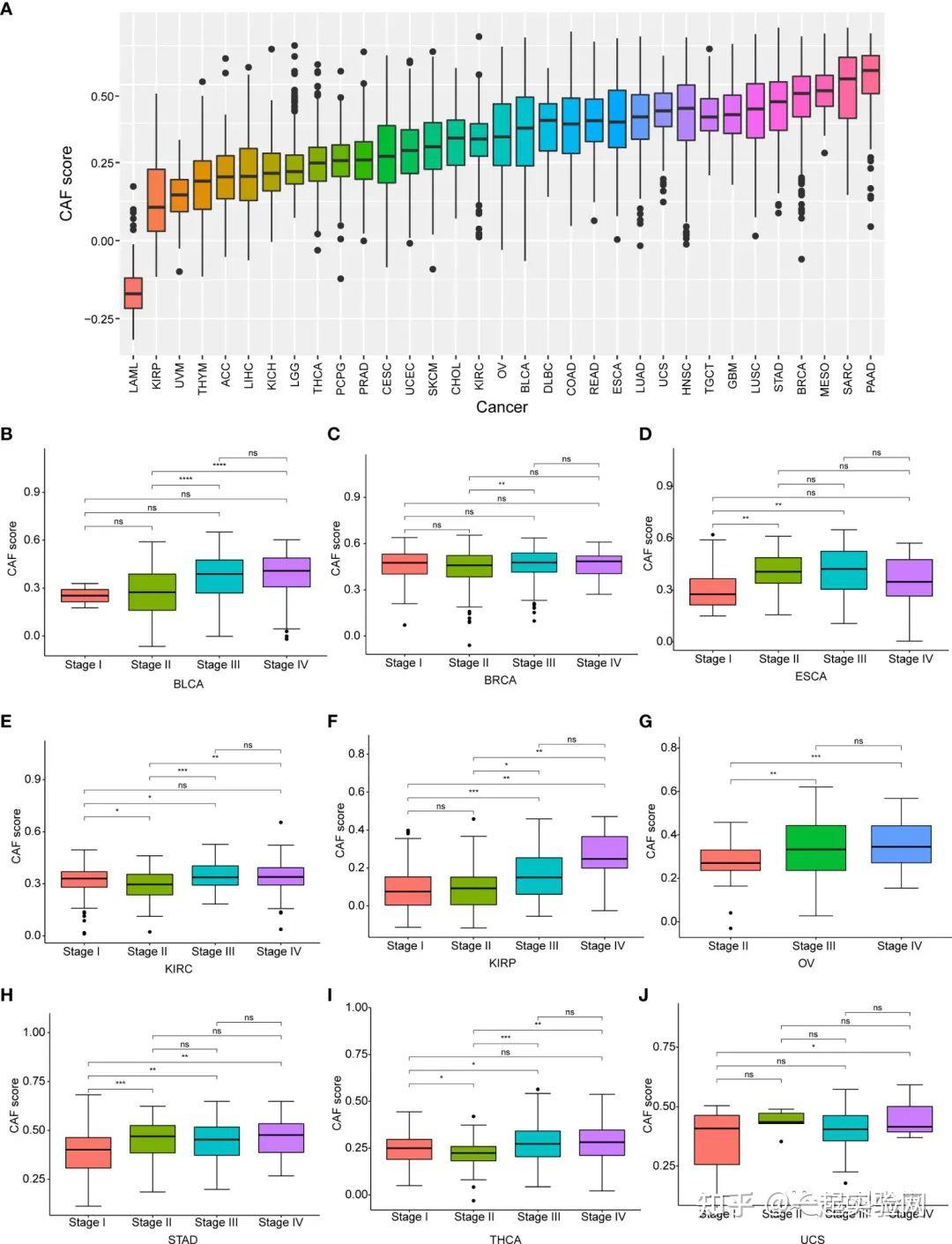 CAF+泛癌分析，收割最后一波8+SCI！ - 知乎