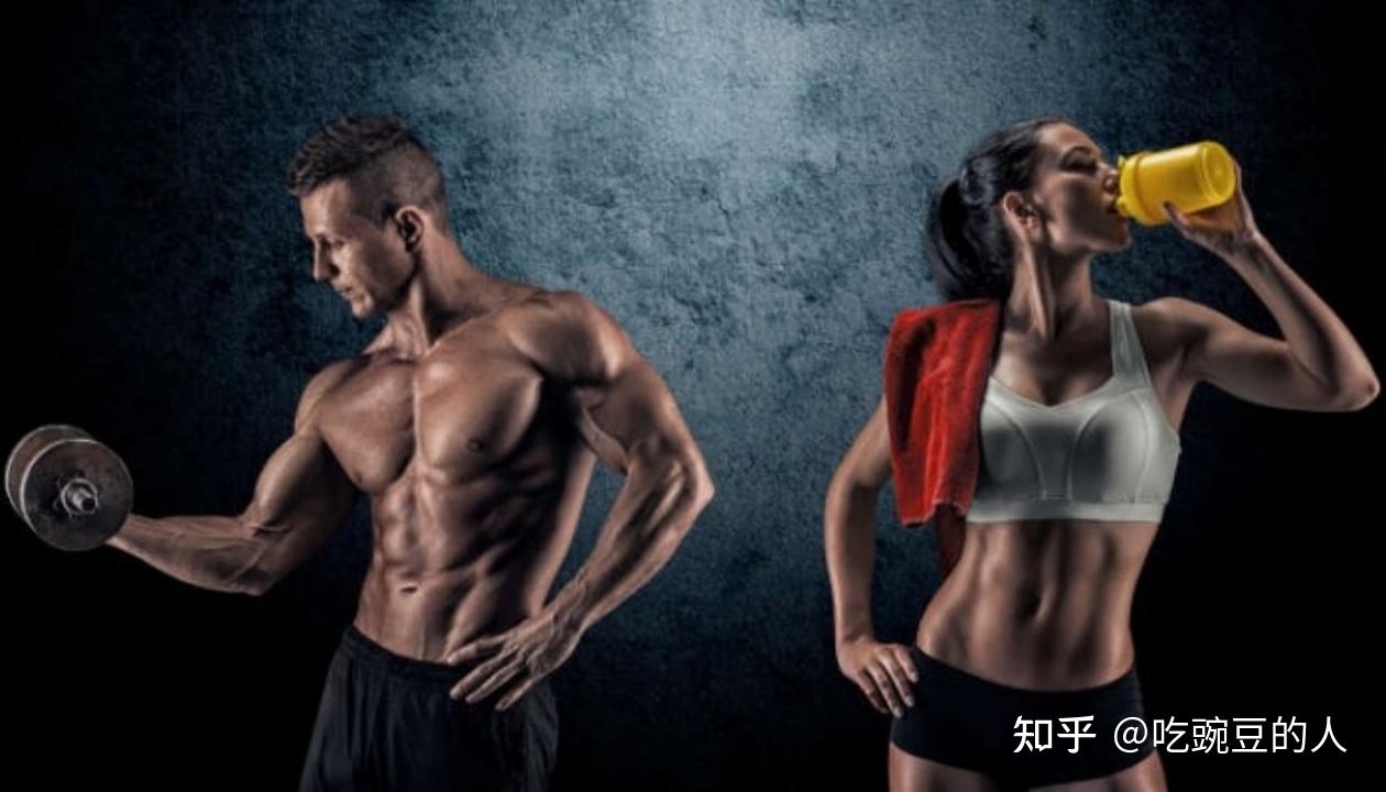 支链氨基酸（BACCs）在运动营养补剂中的重要作用 - 知乎