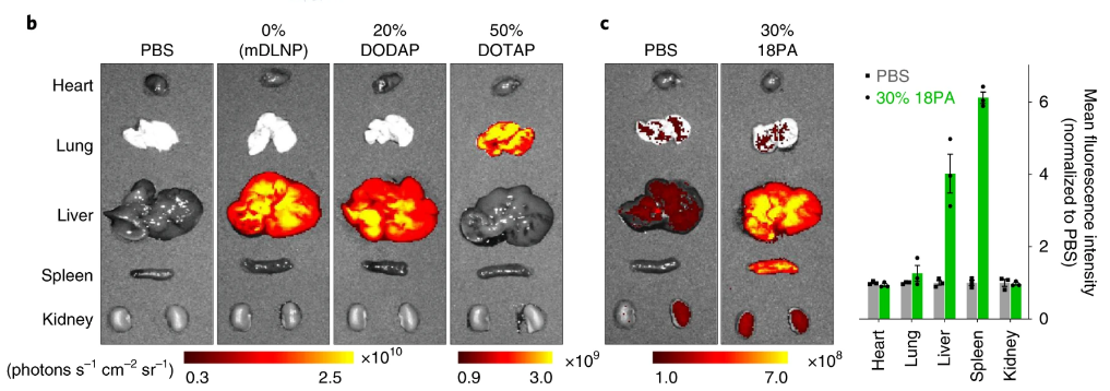 Nat. Nanotechno. | Selective organ targeting (SORT) nanoparticles for ...