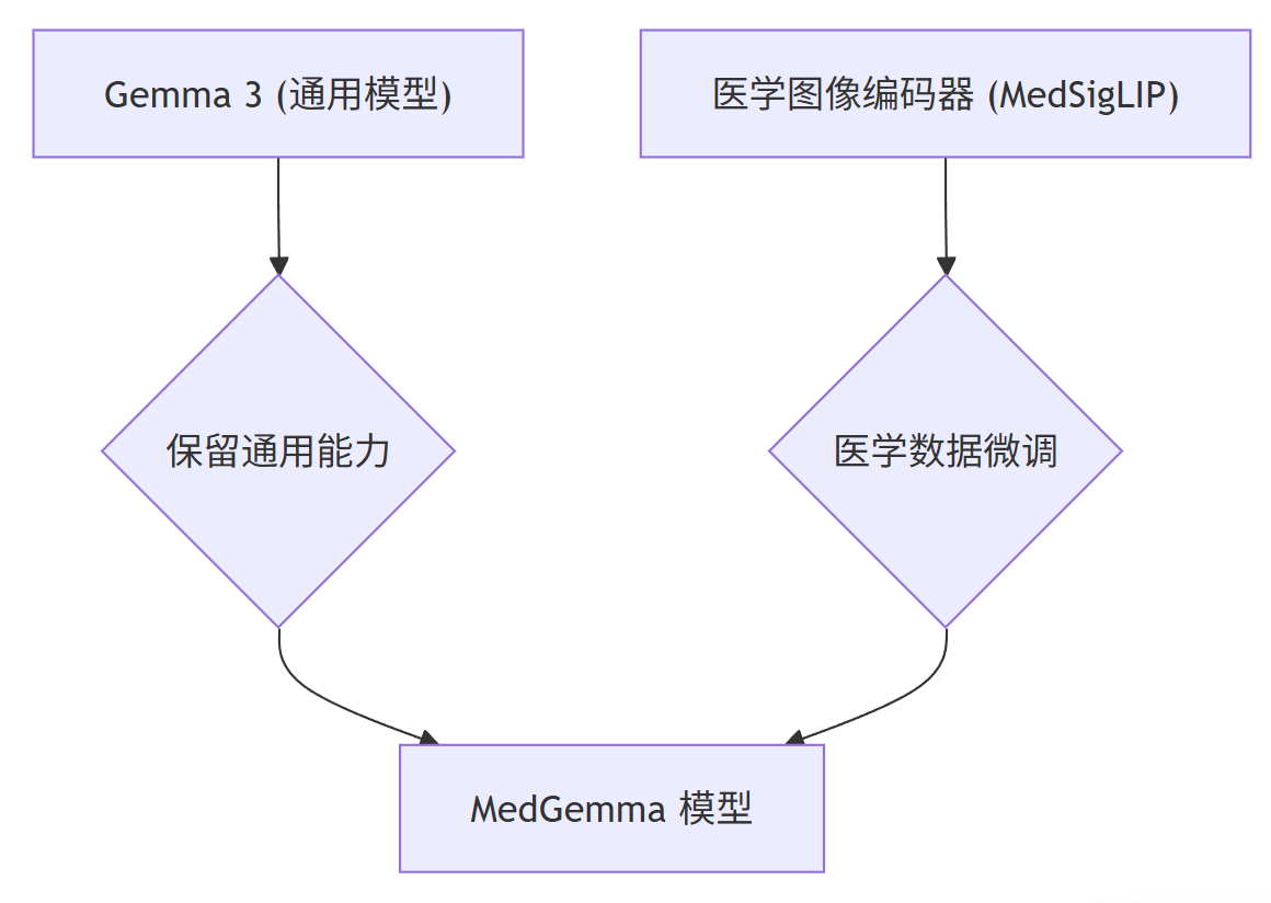MedGemma深度解析：谷歌开源的医疗多模态AI模型 - 知乎