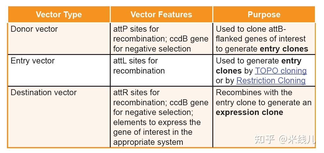 Gateway克隆技术简介 - 知乎