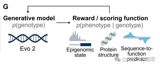 Evo2：跨生命领域的基因组“造物主”模型 - 知乎