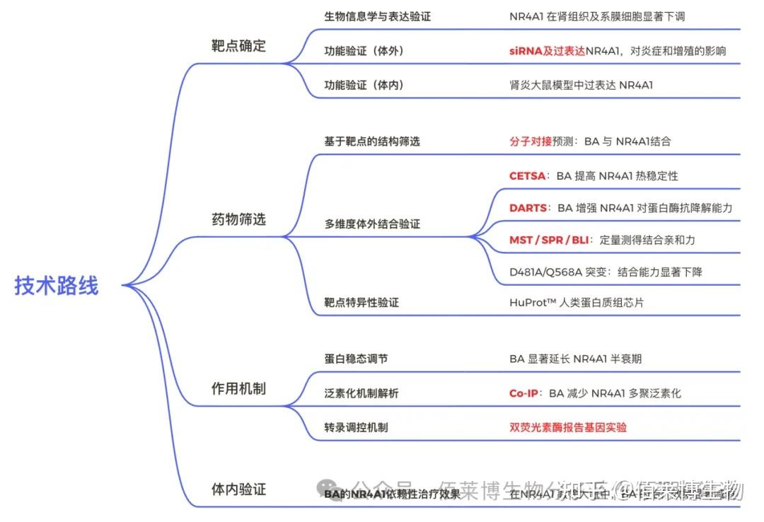 【以靶找药】分子互作多技术整合用于药物筛选和验证 SPR、MST、BLI、CETSA、DARTS、Co-IP、分子对接 - 知乎