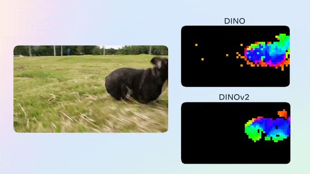 DINOv2：无需微调，填补 SAM 的空白，支持多个下游任务 - 知乎