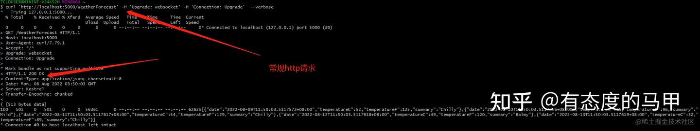 如何利用curl仿造websocket请求？ - 知乎