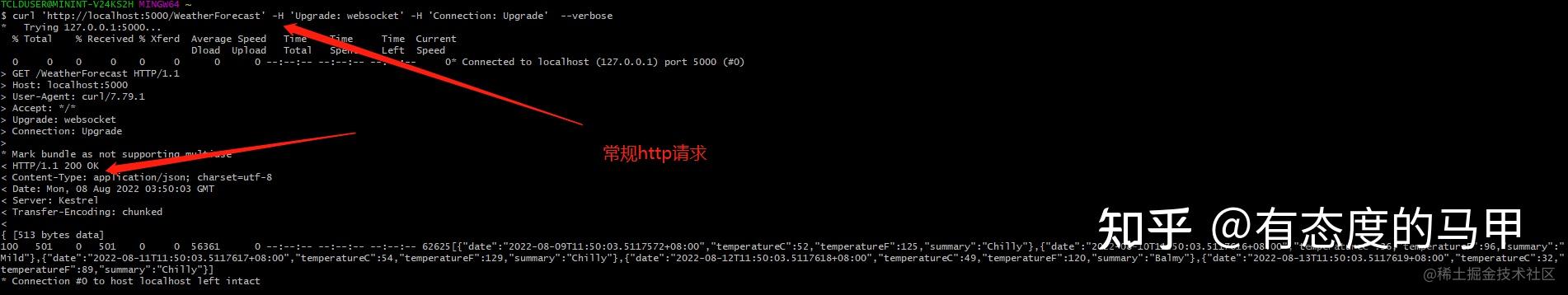 如何利用curl仿造websocket请求？ - 知乎