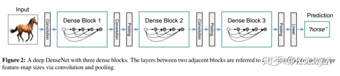 来聊聊DenseNet及其变体PeleeNet、VoVNet - 知乎