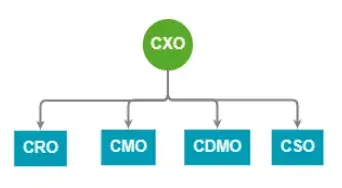 CXO？CMO？CDMO？？ 医药名词解释篇 - 知乎