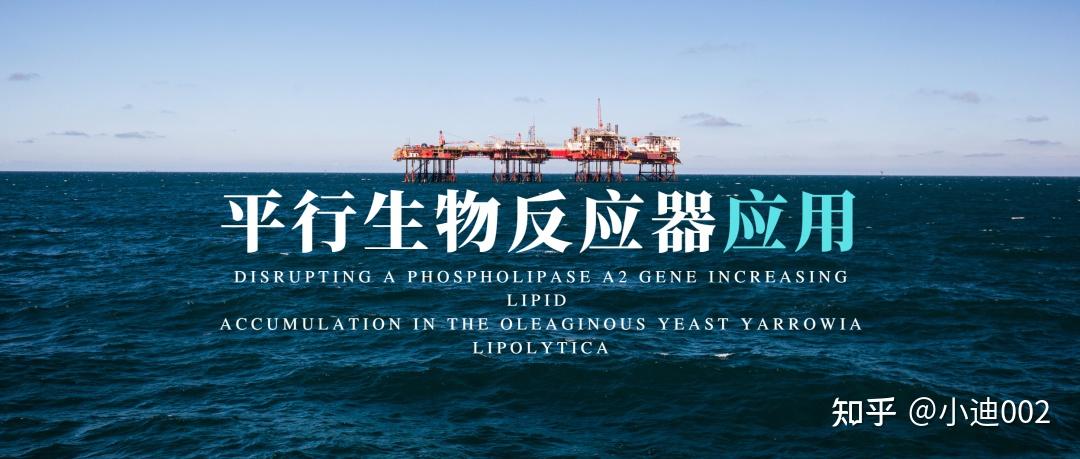 生物反应器应用 | 枯草芽孢杆菌T7异源蛋白高效表达系统 - 知乎