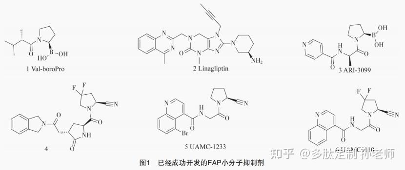 文献分享|FAPI PET探针的开发及研究进展 - 知乎