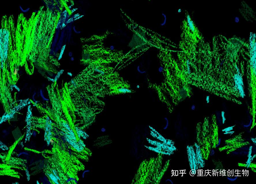 CAS：1628790-40-8羧基-cy7羧酸官能团，Sulfo-Cy7-COOH磺化Cy7羧酸2104632-29-1生物成像 - 知乎