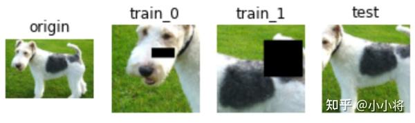 图像分类训练技巧之数据增强篇 - 知乎