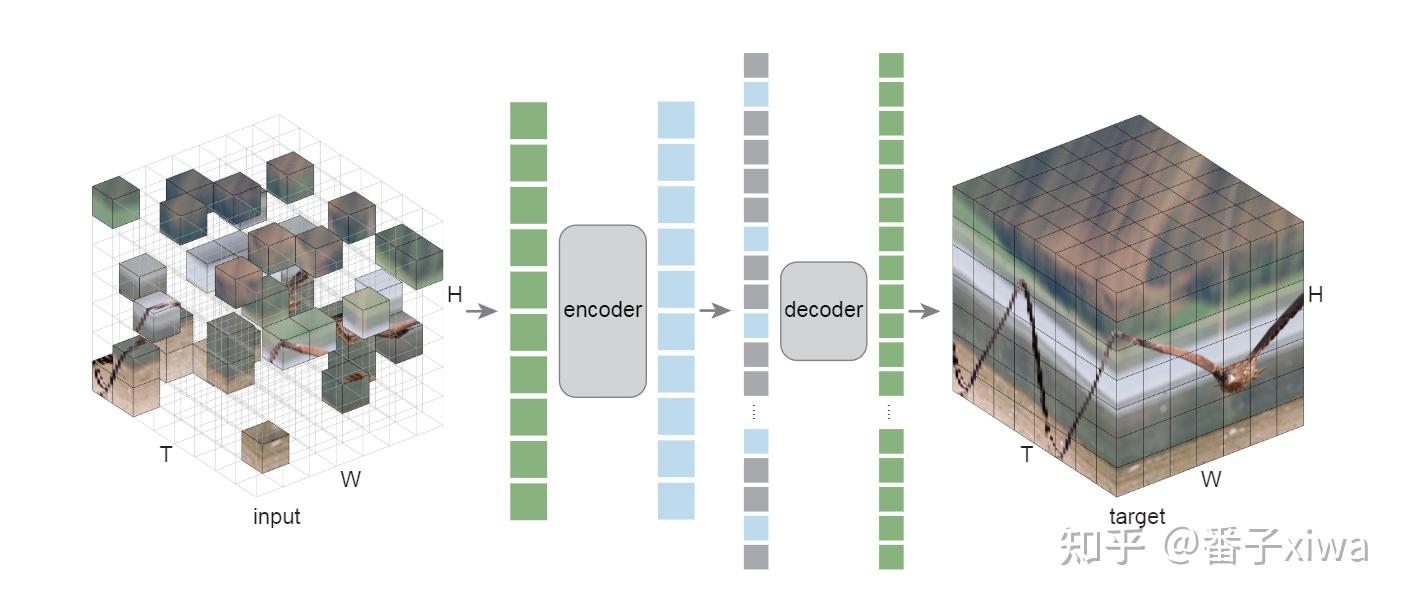 怎么看待Masked Autoencoders as spatiotemporal learners? - 知乎