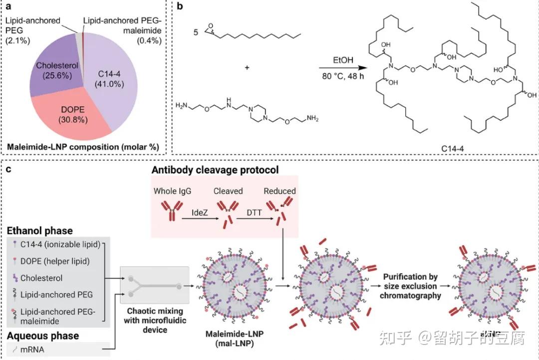 无需磁珠激活，aLNP偶联信号抗体，一步制备mRNA CART细胞 - 知乎