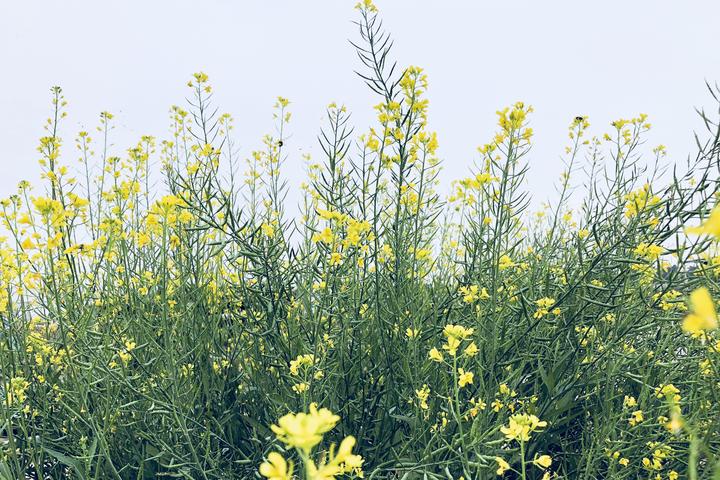 koa2+webpack热更新 - 知乎