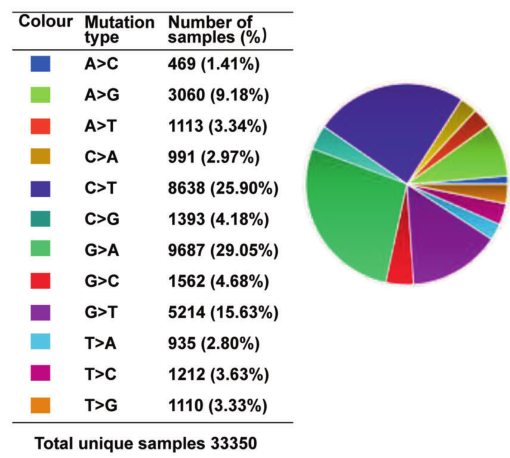 肿瘤中的突变型p53：从分子机制到治疗策略 - 知乎