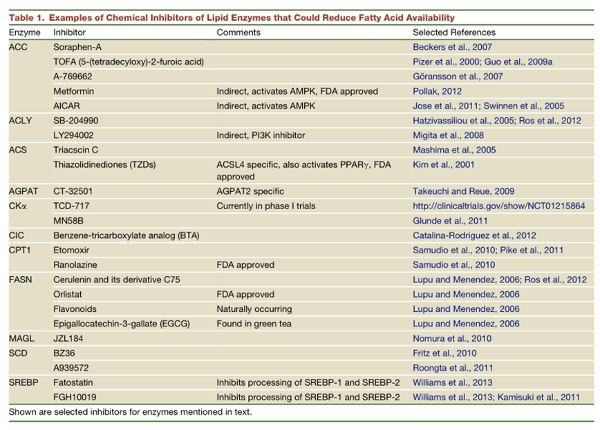 经典重读丨Cell Metab细胞脂肪酸代谢与癌症 - 知乎