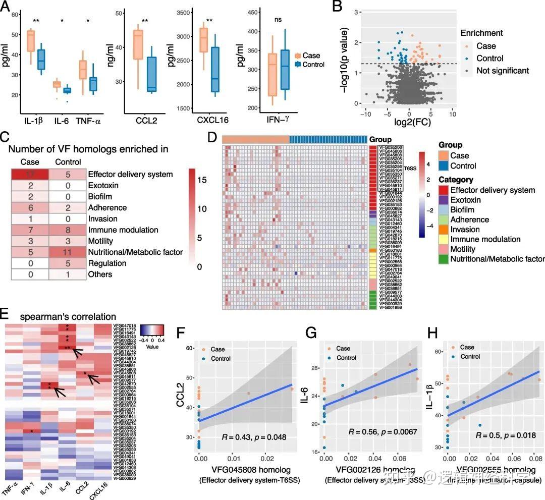 Microbiome︱中山大学陆正齐/赵文婧/牟相宇联合揭示肠道菌群参与脑小血管疾病潜在机制 - 知乎