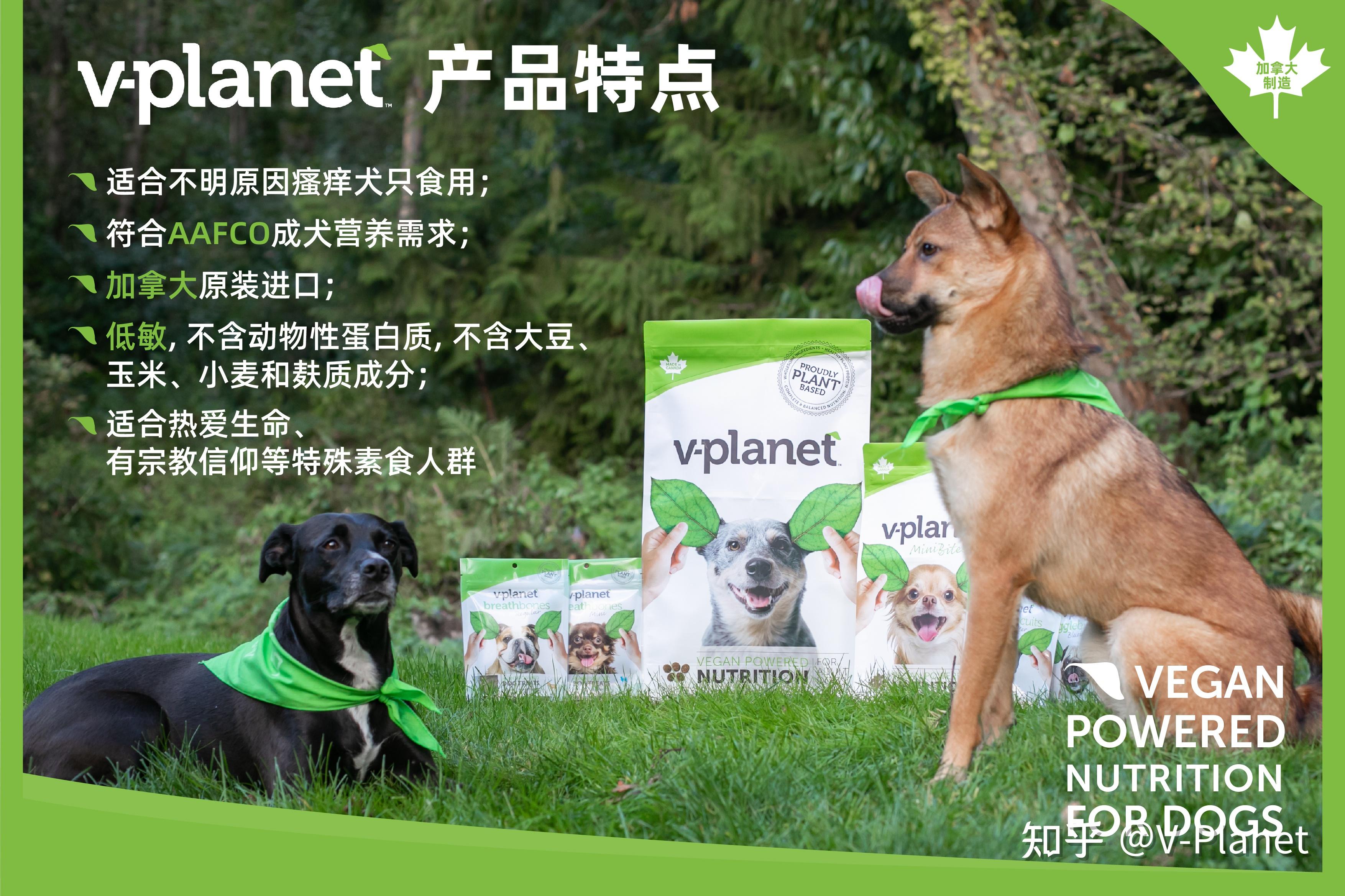 V-Planet 现已在中国上海的 Green Common 发售！ - 知乎