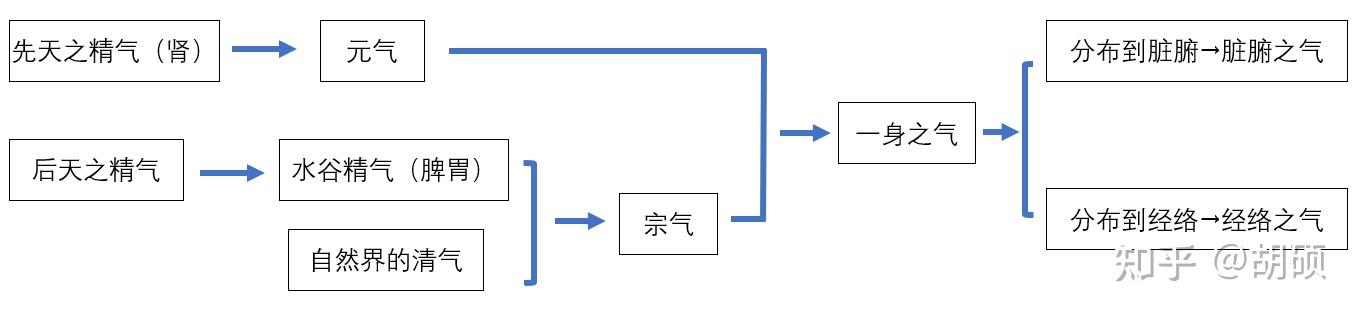 中医气的生成与运行 - 知乎