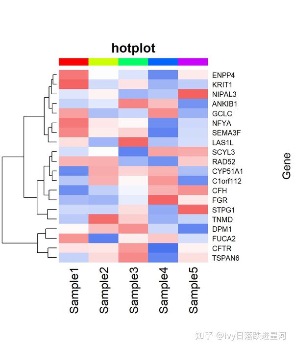R语言中heatmap()、heatmap.2()、pheatmap()、ComplexHeatmap()绘制热图 - 知乎