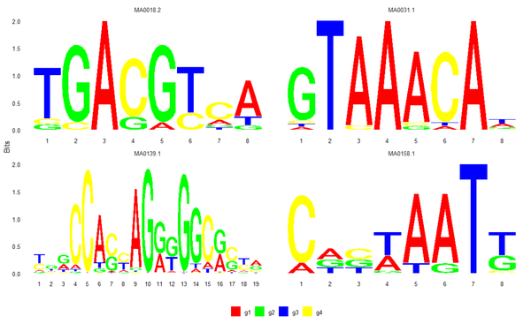 R可视化——ggseqlogo包绘制序列分析图 - 知乎