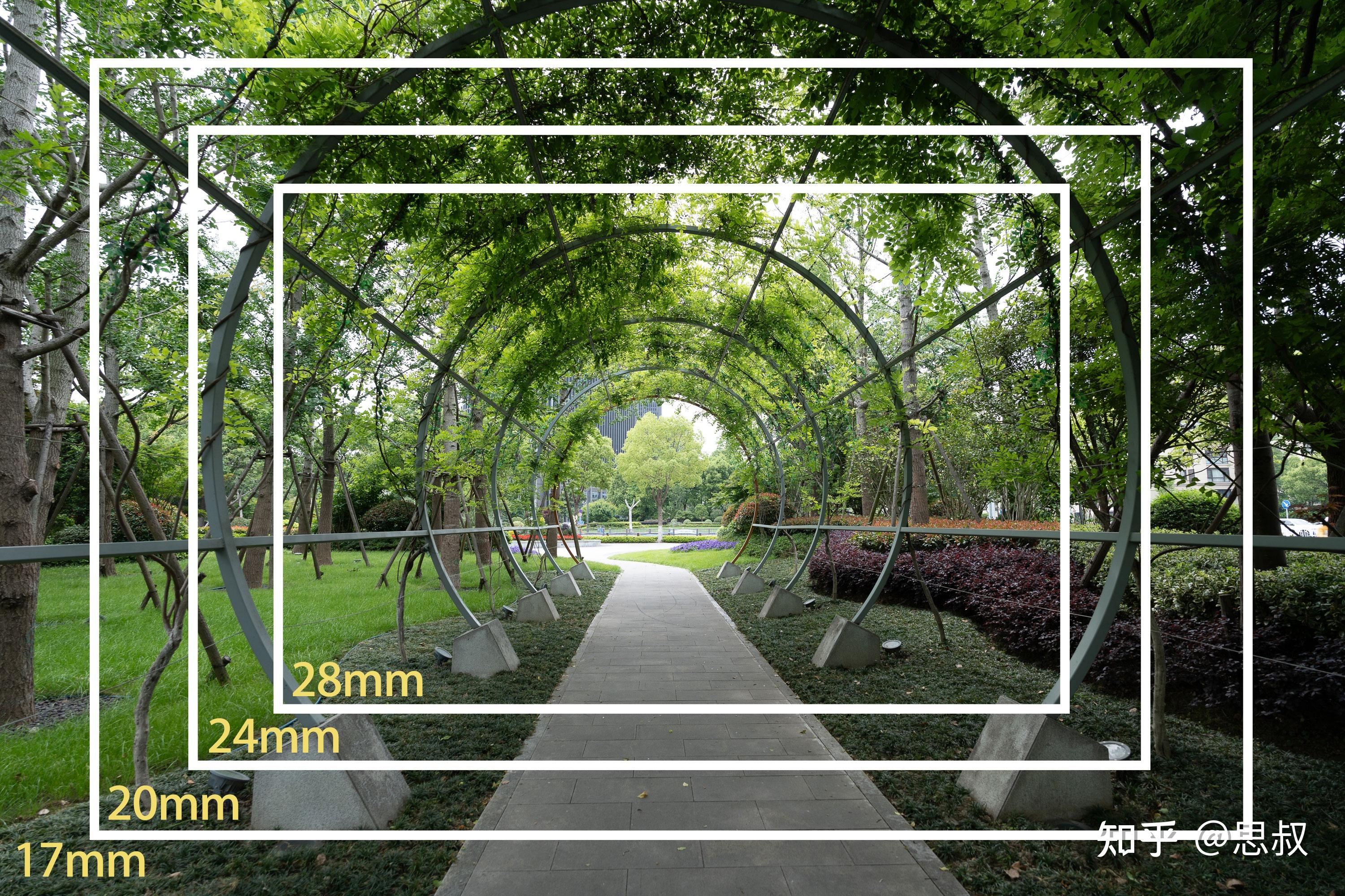 快2024了。适马2870、索尼2070、24105腾龙2875怎么选? - 知乎